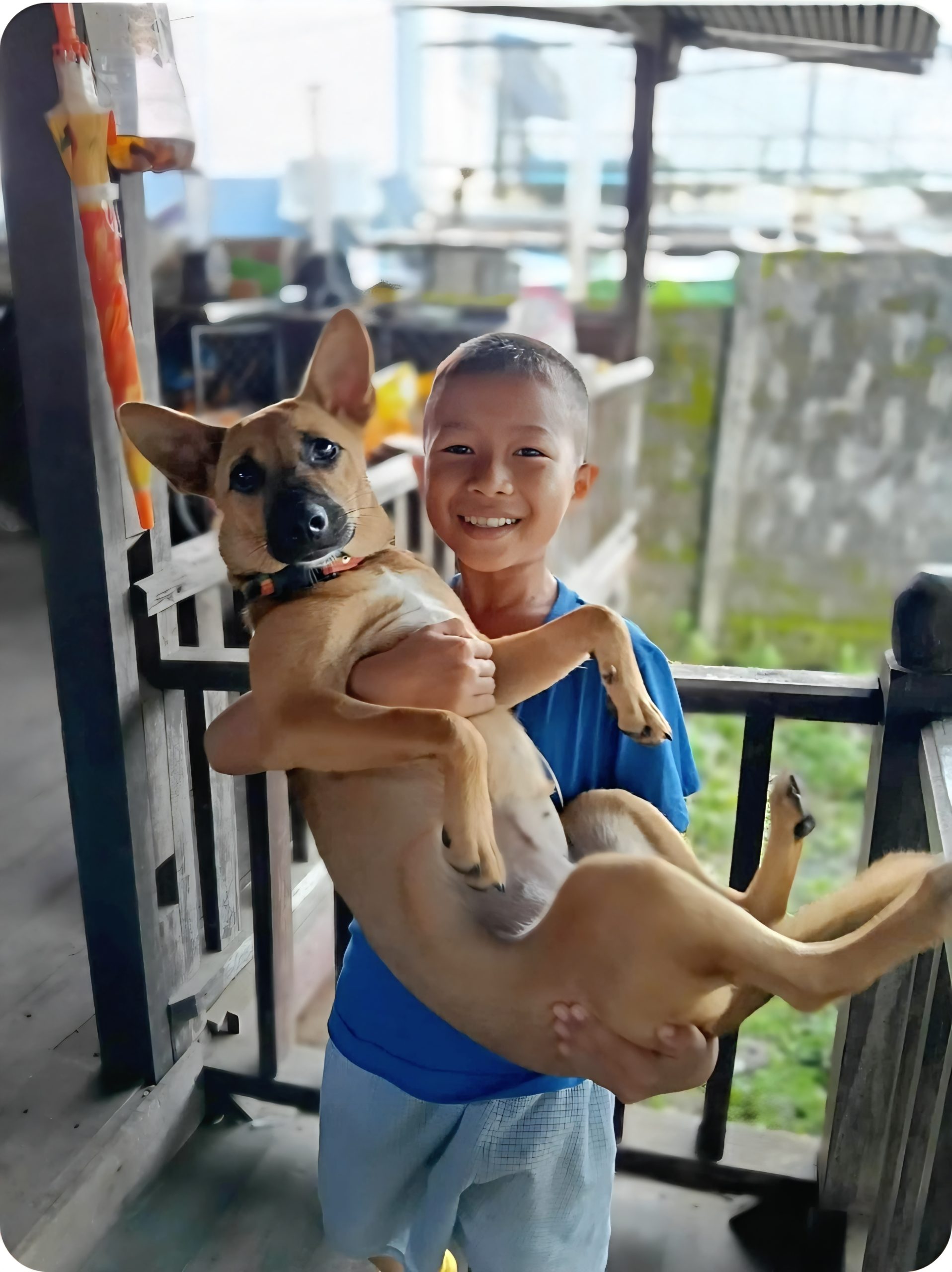 Meet Doris – Sangkhlaburi Animal Sanctuary